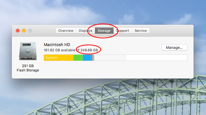 Apple Storage - St. Anthony's High School
